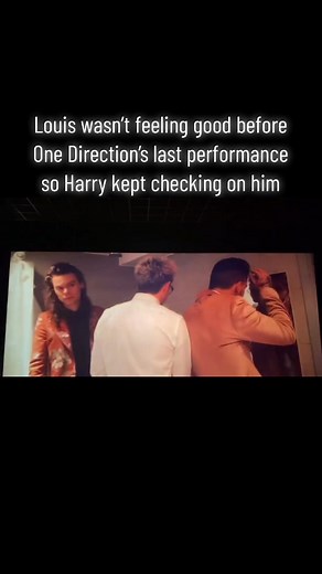 Louis Tomlinson & Harry Styles: One Direction Last Performance Details