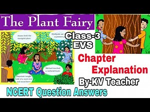 The Plant Fairy / Chapter Explanation NCERT Question Answers/ Class-3 EVS Chapter 2 By-KV Teacher