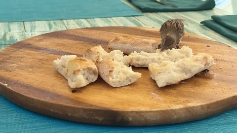 clip-3971828481-small-bird-hops-on-wooden-cutting-board