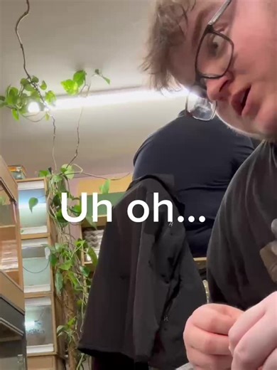 poop alert #axolotlreptilerescue #Boa #python #reptile #pet www.axolotlreptilerescue.com