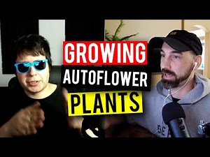 Autoflower Plants & Aerated Compost Teas! (Garden Talk Episode #10)