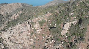 capre sur l'île d'elba avec un : vidéo de stock (100 % libre de droit) 1050803083 | Shutterstock