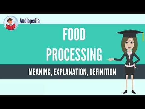 What Is FOOD PROCESSING? FOOD PROCESSING Definition & Meaning