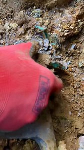 Digging turquoise at my Turquoise Bonanza Mine in Nevada. | Chris Rose