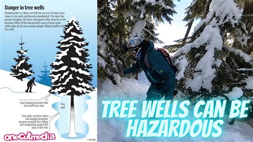 Whistler tree wells explained: What skiers must know