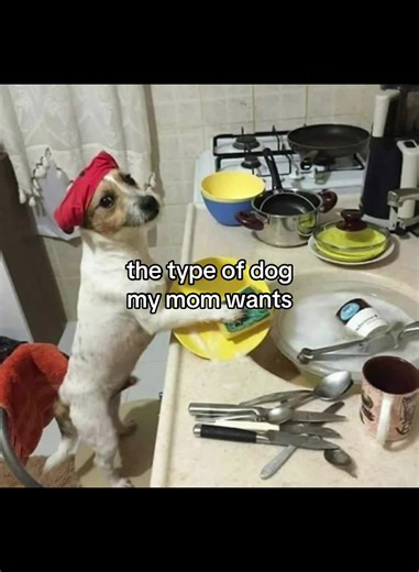 Understanding the Types of Dogs for Families