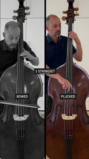 PETER INFELD® double bass strings | Bowed or plucked?
