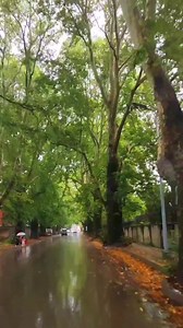 304K views · 10K reactions | ساڈا سوہنڑاں ایبٹ آباد Awesome View Abbottabad kpk Pakistan | JANNAT HAZARA جنت هزارہ | Facebook