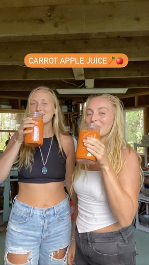 Carrot Apple juice that we made in the best cold pressed juicer we’ve ever used, the @namawell J2😍 This juicer is next level on ALL levels 🚀 It’s so awesome having the ability to load up produce into the juice hopper and letting the juicer do all of the work while you clean up in the meantime 👏🏽 Extracts maximum nutrients & juice with it being a slow masticating juicer. The pulp is dry which is essential while juicing 💧 Get $55 off the Nama J2 by using our code OVL10 at checkout! 🛒 - This 