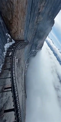 One Wrong Move… It’s Over #rollercoaster #adrenalinerush #diyrollercoaster #extremerider #backyard