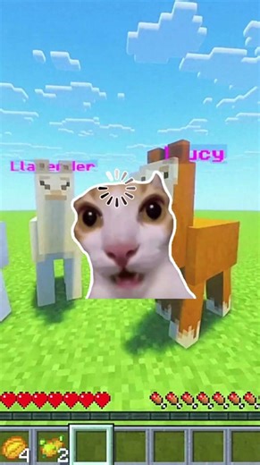 A ÚLTIMA LUCKY BLOCK ME EXPLODIU? 😱 #minecraft