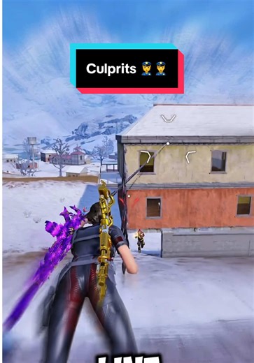 Encountering the Culprits in CODM