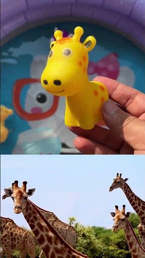 Learn Jungle Animal Names and Fun Facts | Wild Animal Toys for Toddlers & Preschoolers