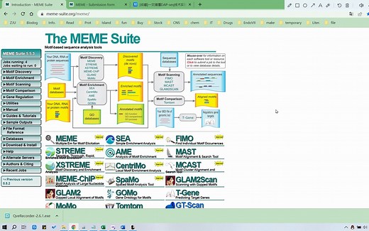 MEME-suite 实例讲解