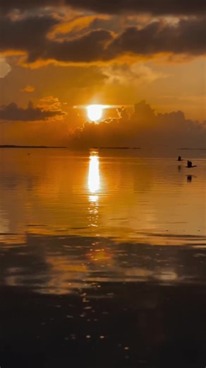 It’s almost the most wonderful time of year for Florida Keys anglers: tarpon season 🎣 From March through June, these prehistoric fish move through channels and along the flats as they migrate north to their summer feeding grounds. The spring run is when you’ll find your best chances for big fish and the most consistent action. So if you’re chasing the Silver King, now’s the time to start planning your trip ➡️ visitfloridakeys.com/fishing 🎥: Local guide brandoncyrkw of Reel Shallow Charters