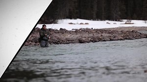 35 reactions | With 170 massive grams of two-layer, body-mapped...