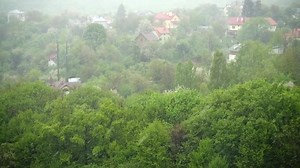 Free Video Stock Snow Falling In Spring Live Wallpaper