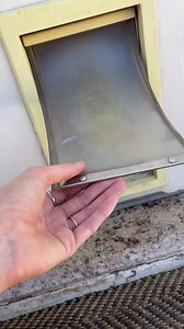 5.1M views · 40K reactions | Wife is cheating on the day of her wedding with the best man, ocean | Aloha Ocean | Facebook