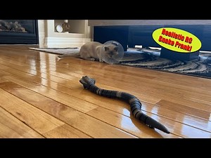 Cobra Remote Control Snake Cat Toy Moves Just Like A Real Snake Great For Pranks