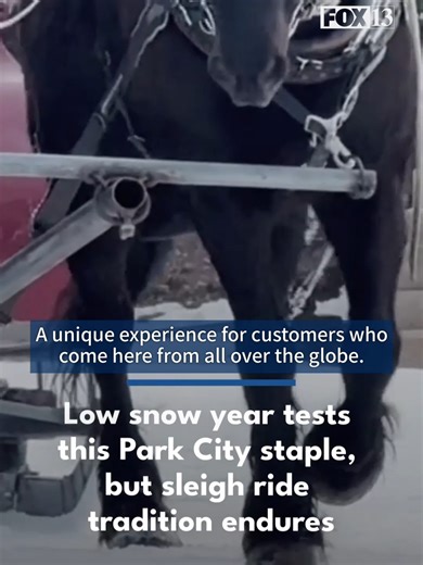 Resilience at the Snowed Inn Sleigh Company