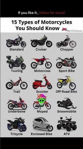 15 Types of Motorcycles🏍️