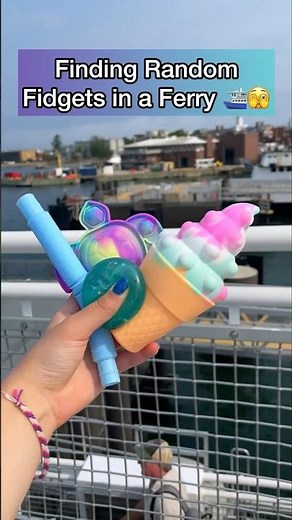 Finding Random Fidgets in the Ferry Boat! ⛴️🌊
