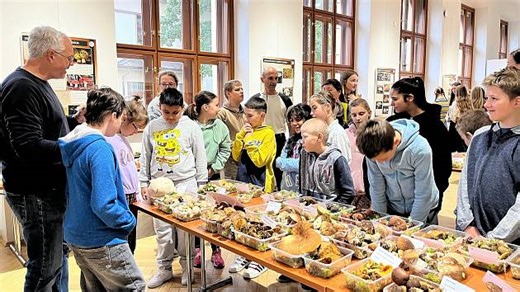 Vzácná spona, stovky ptáků i motorka. Sbírky jihočeských muzeí se rozrůstají