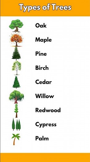 Types of Trees in English....#learnenglish #vocabulary #englishlanguage
