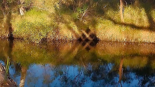 Camper captures 9-part diamond formed out of shadows in Australian outback