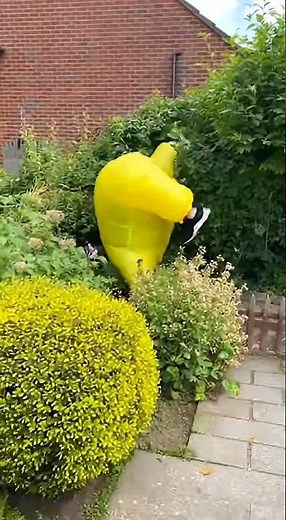 Inflatable Yellow Suit Sends Him Flying Over the Fence—Bounce Chaos Ensues 😂