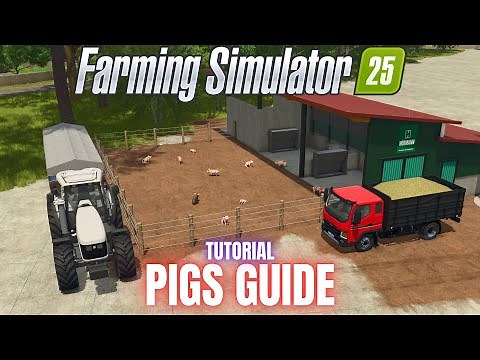 GUIDE TO PIGS - TUTORIAL - Farming Simulator 25
