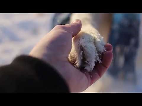 5 Ways to Build Great Work Relationships