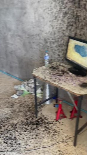 Car Maintenance Tips in a Cluttered Workshop