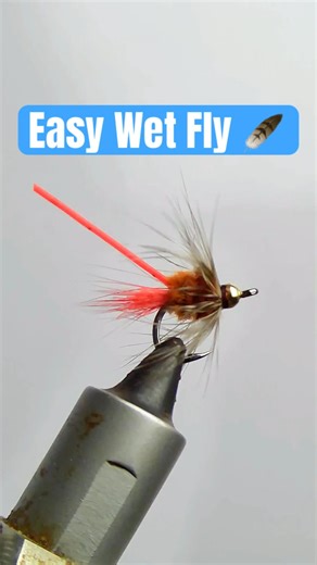San Woolly Wet Fly 🪶 Simple & Deadly #flytyingforbeginners #troutflies