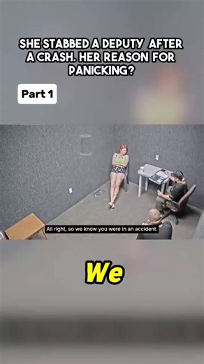 Part 1 | She Stabbed A Deputy After A Crash. Her Reason For Panicking? #truecrime #crimetiktok #crimestory #truecrimestory #truecrimetiktok