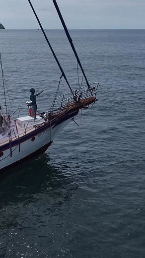 Alien on board | Daniel012