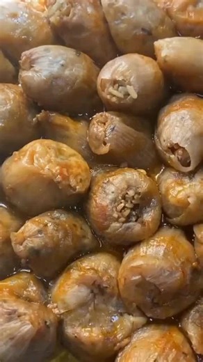 Food Matrix on TikTok