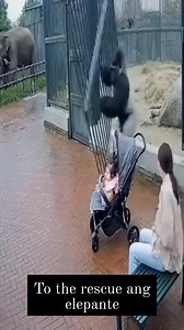 2K views · 3.6K reactions | Disclaimer : I Hereby declare that I don't own the rights to this music or song.All rights belong to the rightful owner . No copyright infringement intended and I do not claim to own any of the original songs and video.For entertainment purposes only #reelsviralシ #highlightsシ゚ #reelsviral #reelschallenge #reelsviralシfb #reelsvideoシ #everyonefollowers #reelsfacebook #reelsfypシ #reelstrending2025 | Ruby Ruby | Facebook