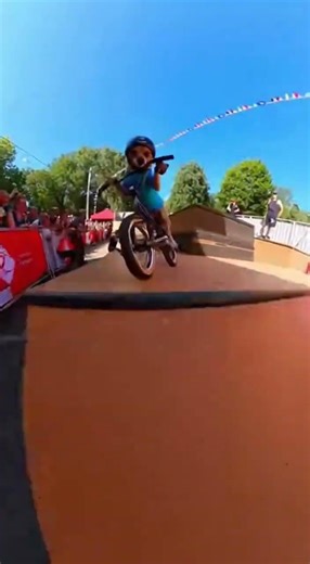 🐶 Chihuahua Rips BMX Competition! Tricks, Flips & Tiny Crash 😂 | #funny #animals #cute #animalcomedy