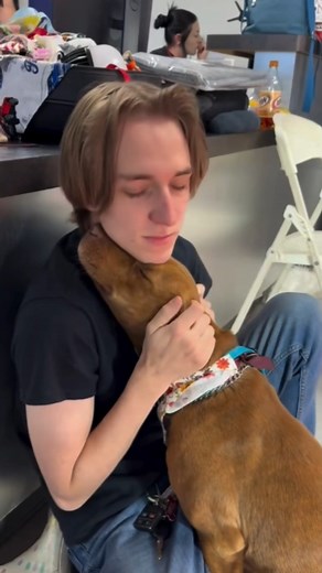 2.4K views · 88 reactions | Romy & Michelle are high priority dogs....