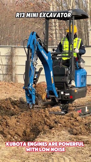 Small But Serious Power | RIPPA Mini Excavator w/ Kubota Engine #rippa #rippamakehomehappy
