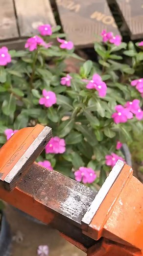 #processing #generativeart #art #creativecoding #digitalart #generative #codeart #abstractart #p #js #creativecodeart #design #algorithmicart #contemporaryart #abstract #generativedesign #computerart #glitchart #graphicdesign #proceduralart #d #newmediaart #newmedia #mathart #artwork #geometricart #glitch #coding #creativecode #new | New2