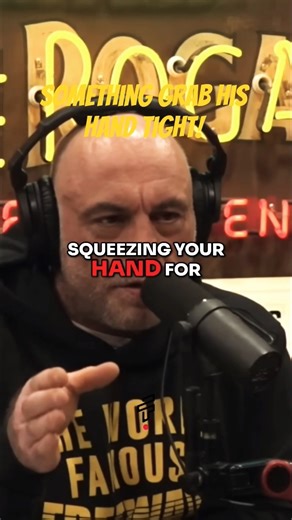 Joe Rogan's alien theory explained! #shortsvideo #shorts #joerogan