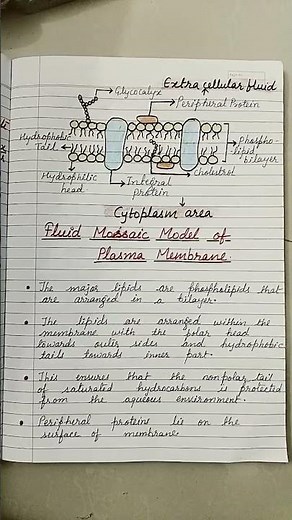 Fluid Mosaic Model of Plasma Membrane