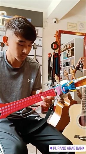 Traditional plucked string instrument originating from the Himalayan region of Nepal