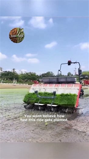 Massive Rice Planting Machine in Action!
