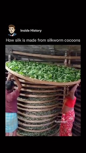Inside History | Silk fibres are produced by silkworms when they spin themselves into a cocoon on their journey to becoming a silkmoth. In this process,... | Instagram