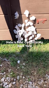 Omega Blue Entertainment on Reels