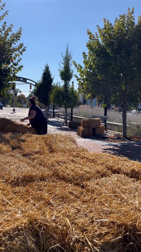 Autumn Stroll set up has began! We hope you’ll join us downtown tomorrow night. Buy your dinner tickets here - https://www.eventbrite.com/e/autumn-stroll-dinner-tickets-1702758068219 | North Vernon Main Street