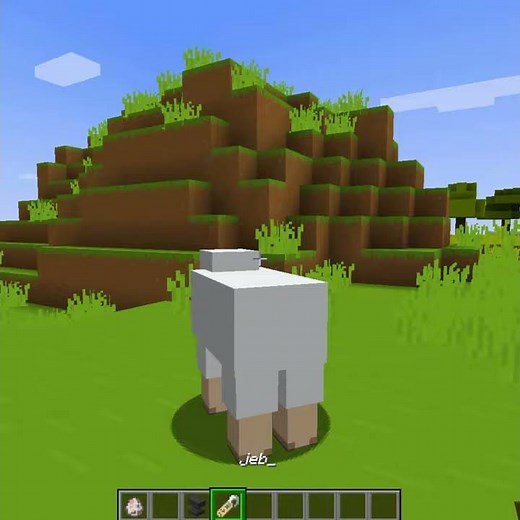 Minecraft | Secret Name Tag Easter Eggs/Tricks jeb_ | Easy Hacks